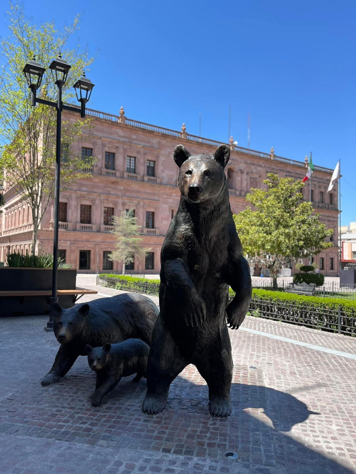 Familia De Osos Negros Imágenes De Osos Negros Libres De Derechos