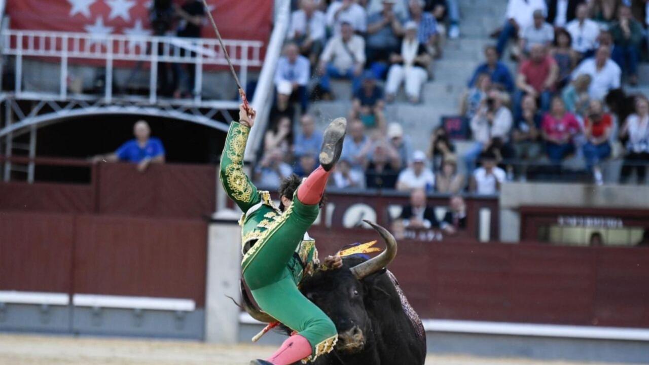 Torero mexicano se encuentra herido tras sufrir cornada de 20 ...