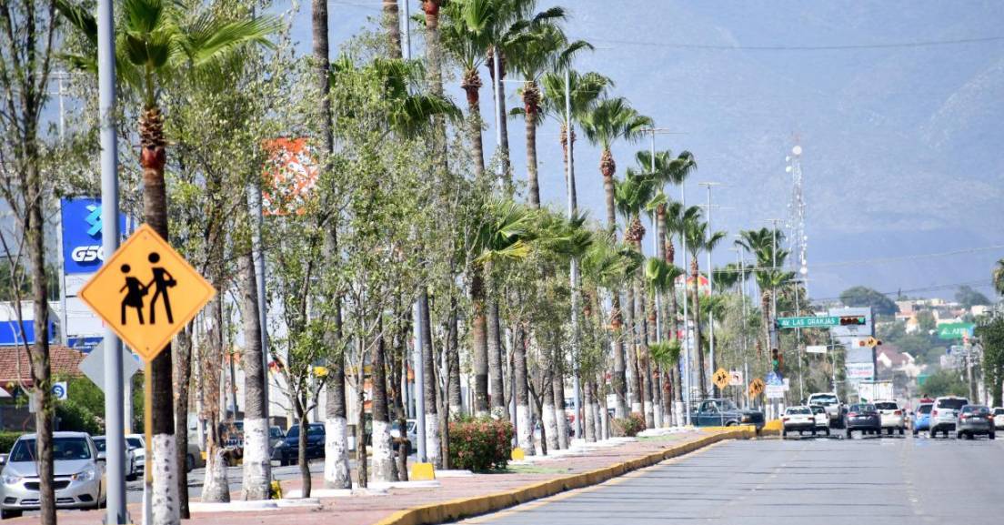 Monclova lucha contra cambio climático con arborización - NRT México
