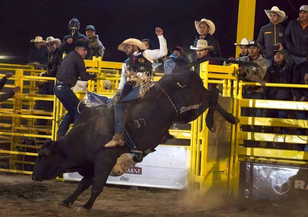 El rodeo en Saltillo y su crecimiento vertiginoso - NRT México