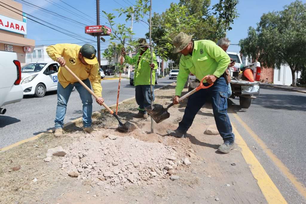 Rehabilita Gobierno de Saltillo banquetas en calzada Emilio Carranza ...