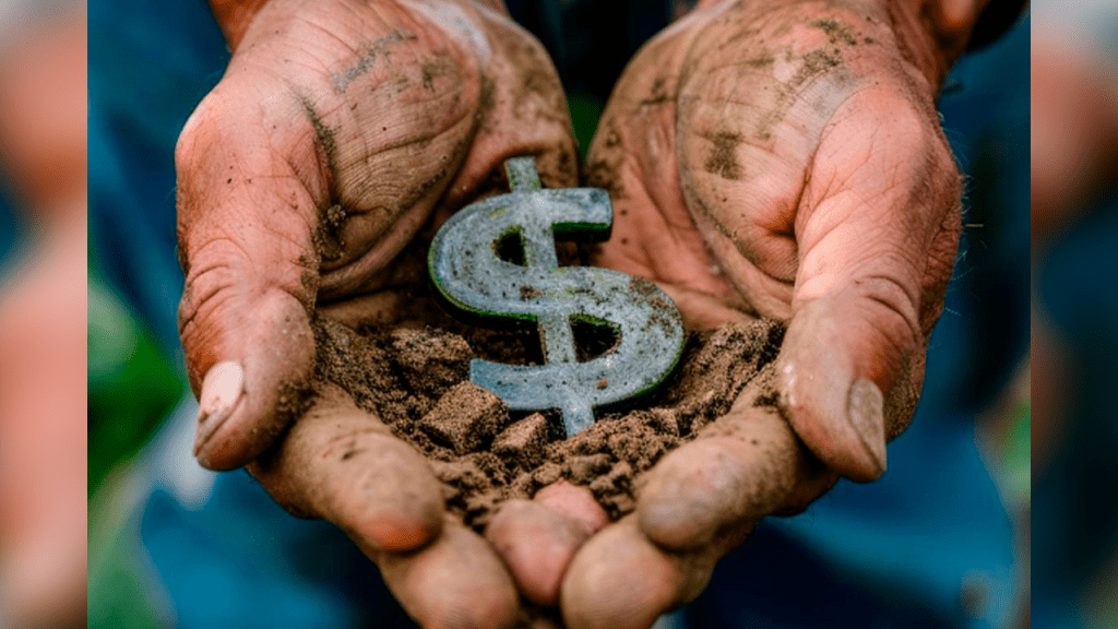 FIRA impulsa la planeación agrícola con su sistema de Agrocostos - NRT ...