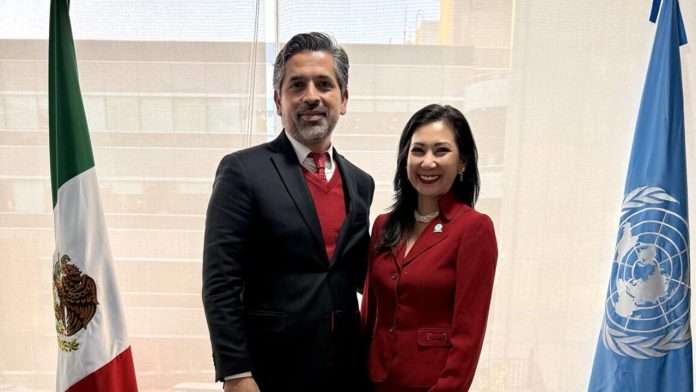 FOCIR y PNUD México exploran alianzas para impulsar iniciativas ...