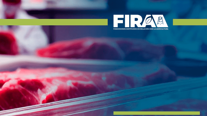 México cubre 93% del consumo de carne de res con producción nacional ...